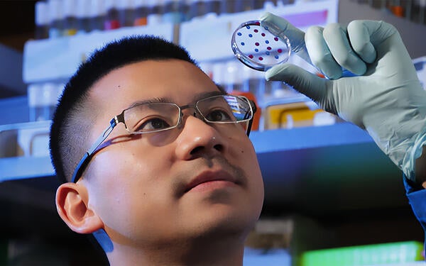Undergraduate Majors Neuroscience Student in Lab | College of Natural ... Undergraduate Majors Neuroscience Student in Lab | College of Natural ...