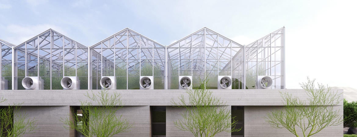 New greenhouse facility allows for expanded research space | College of ...